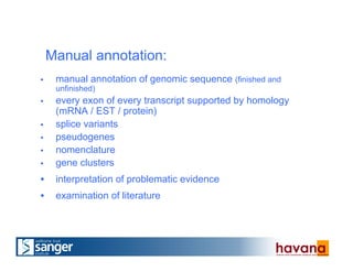 The Vertebrate Genome Annotation Database | PDF