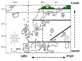 Vegatatie in Europa | PPT