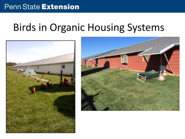 Energy Conservation for Poultry Producers: Windbreaks, Snow Fences, and ...