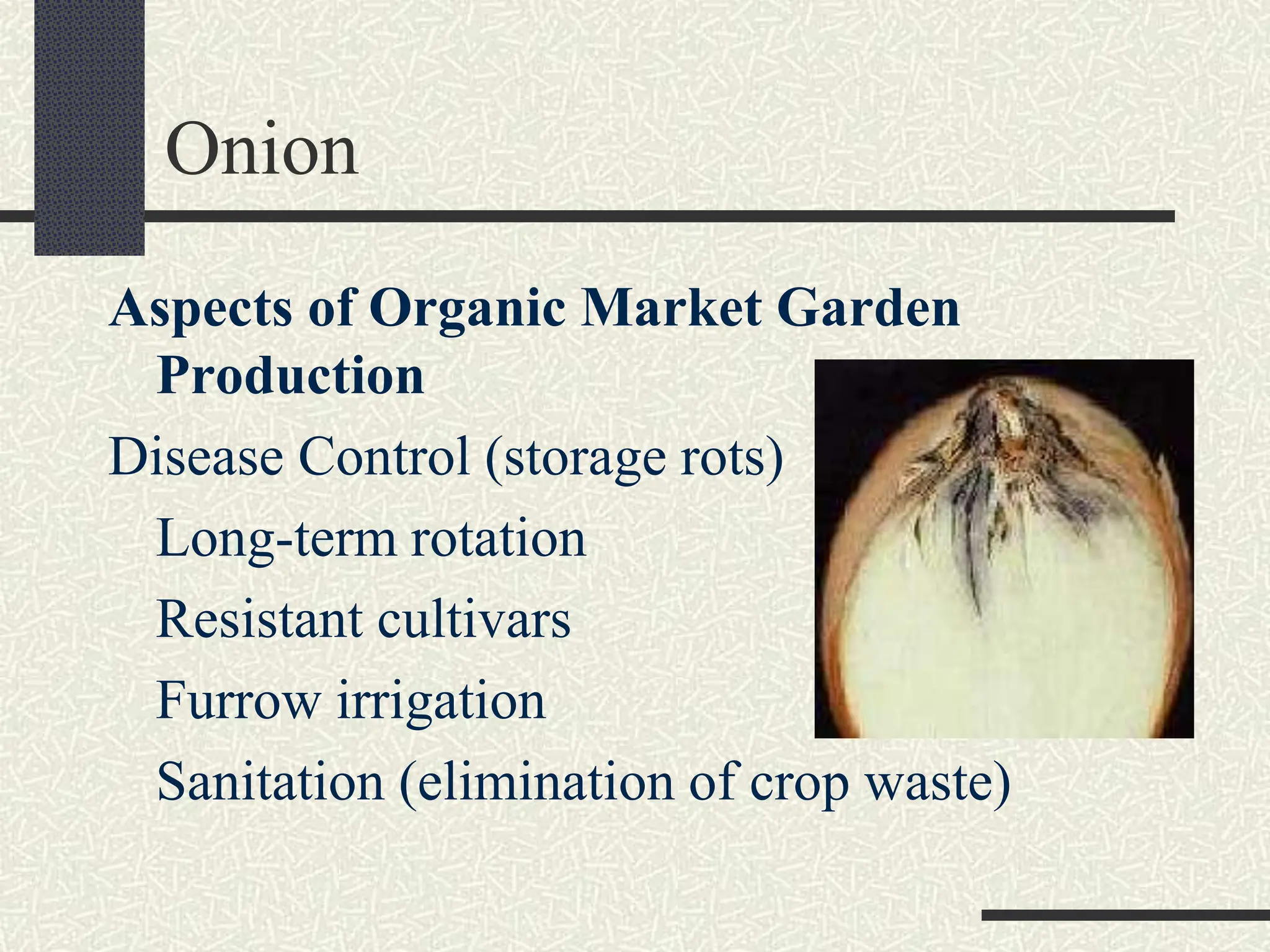 Veg Crops-Lesson 15 Onion seed production | PPT