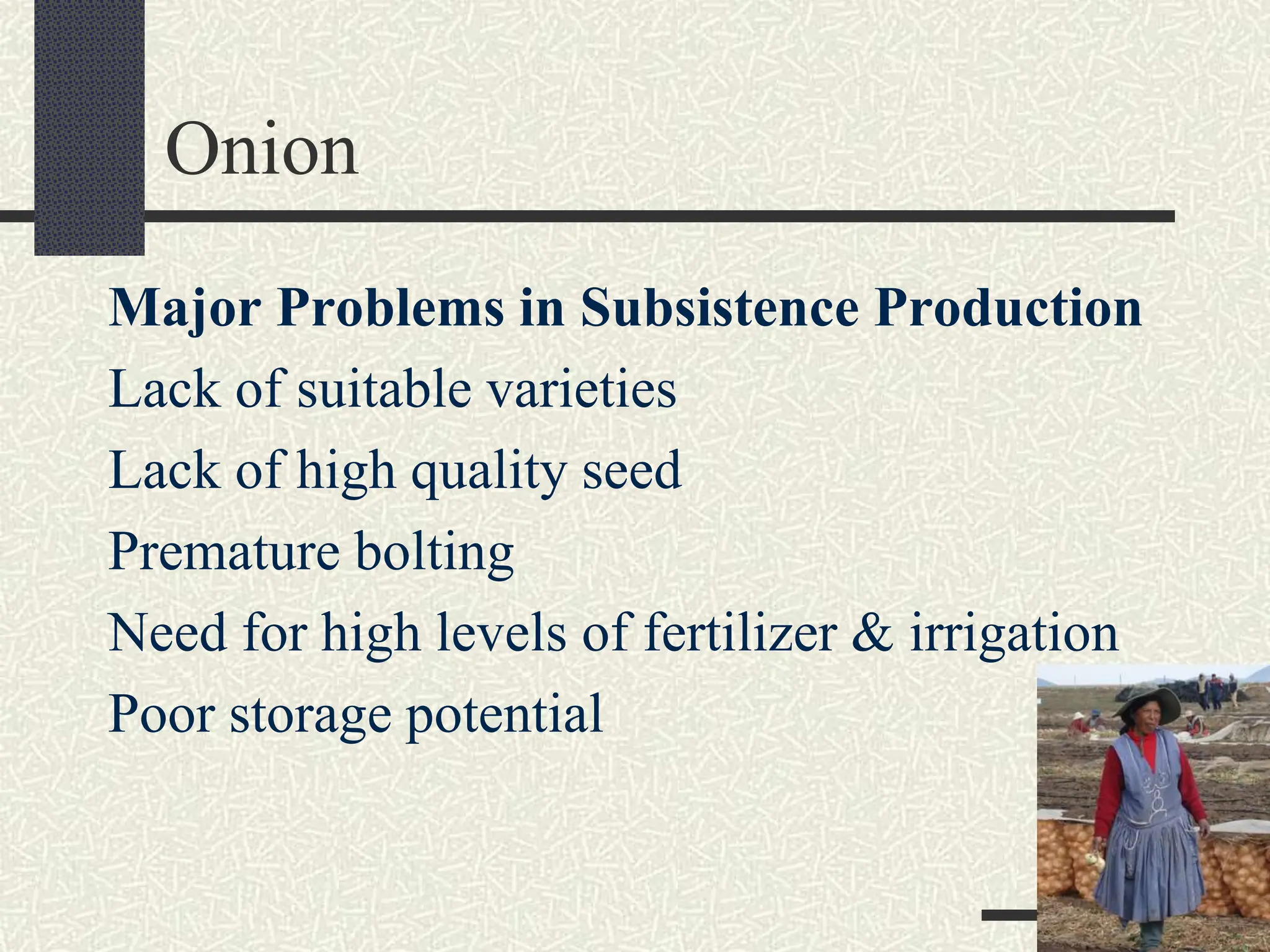 Veg Crops-Lesson 15 Onion seed production | PPT