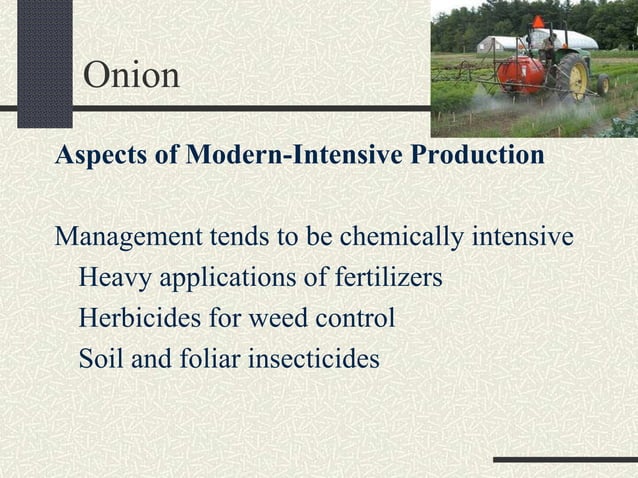Veg Crops-Lesson 15 Onion seed production | PPT