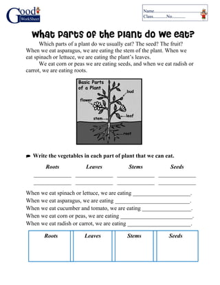 Vegetable (17) | PDF