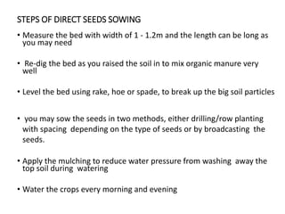 Vegetable Agronomic Practices Slide.pptx