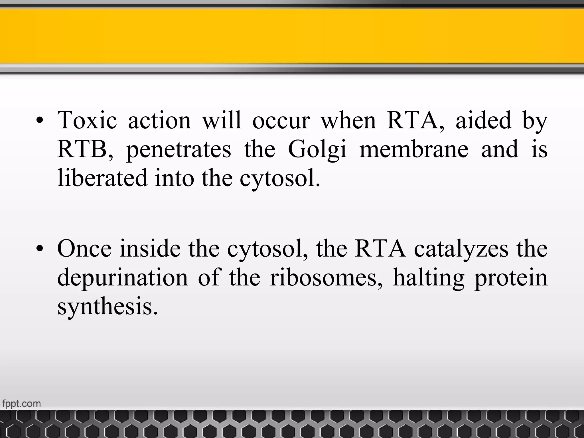 Vegetable irritant poisoning(castor abrus croton) | PPT