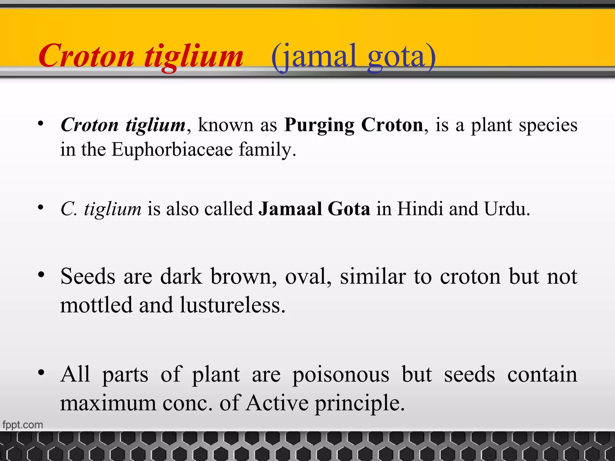Vegetable irritant poisoning(castor abrus croton) | PPT
