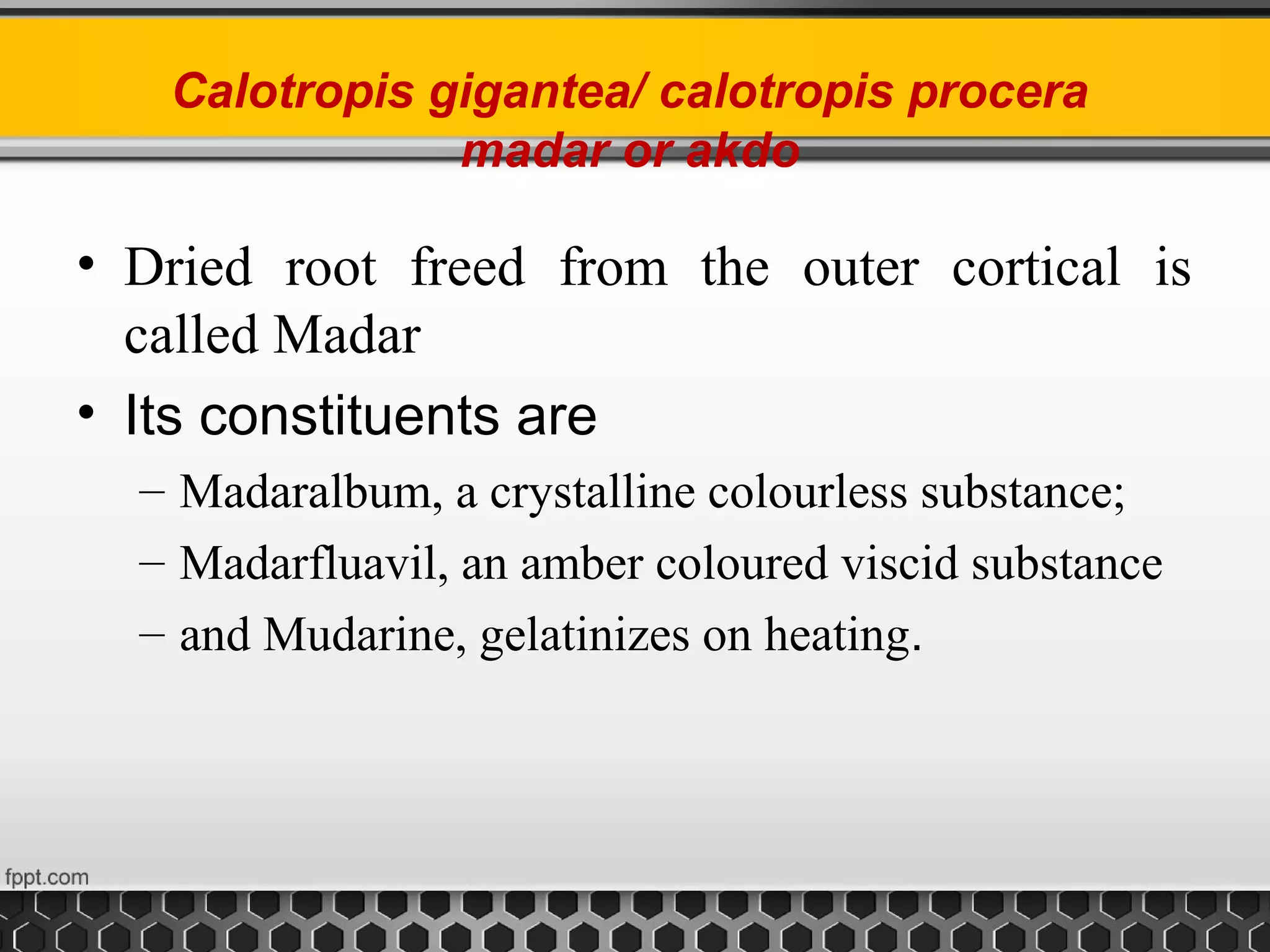 Vegetable irritant poisoning(castor abrus croton) | PPT