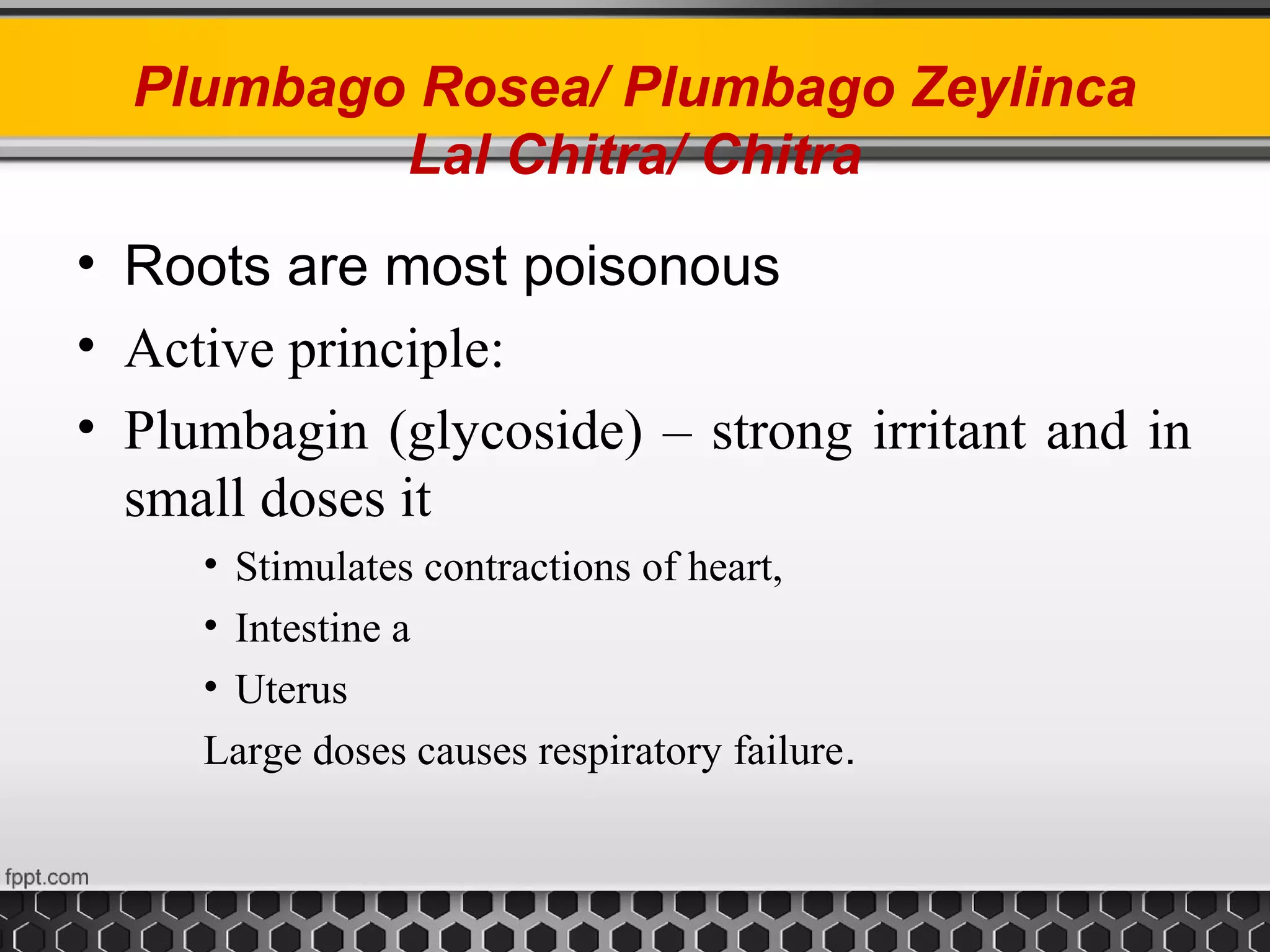 Vegetable irritant poisoning(castor abrus croton) | PPT