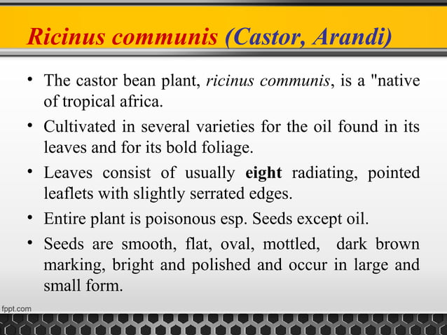 Vegetable irritant poisoning(castor abrus croton) | PPT | Digestive ...