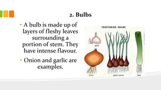 Vegetable cookery grade 10 | PPTX