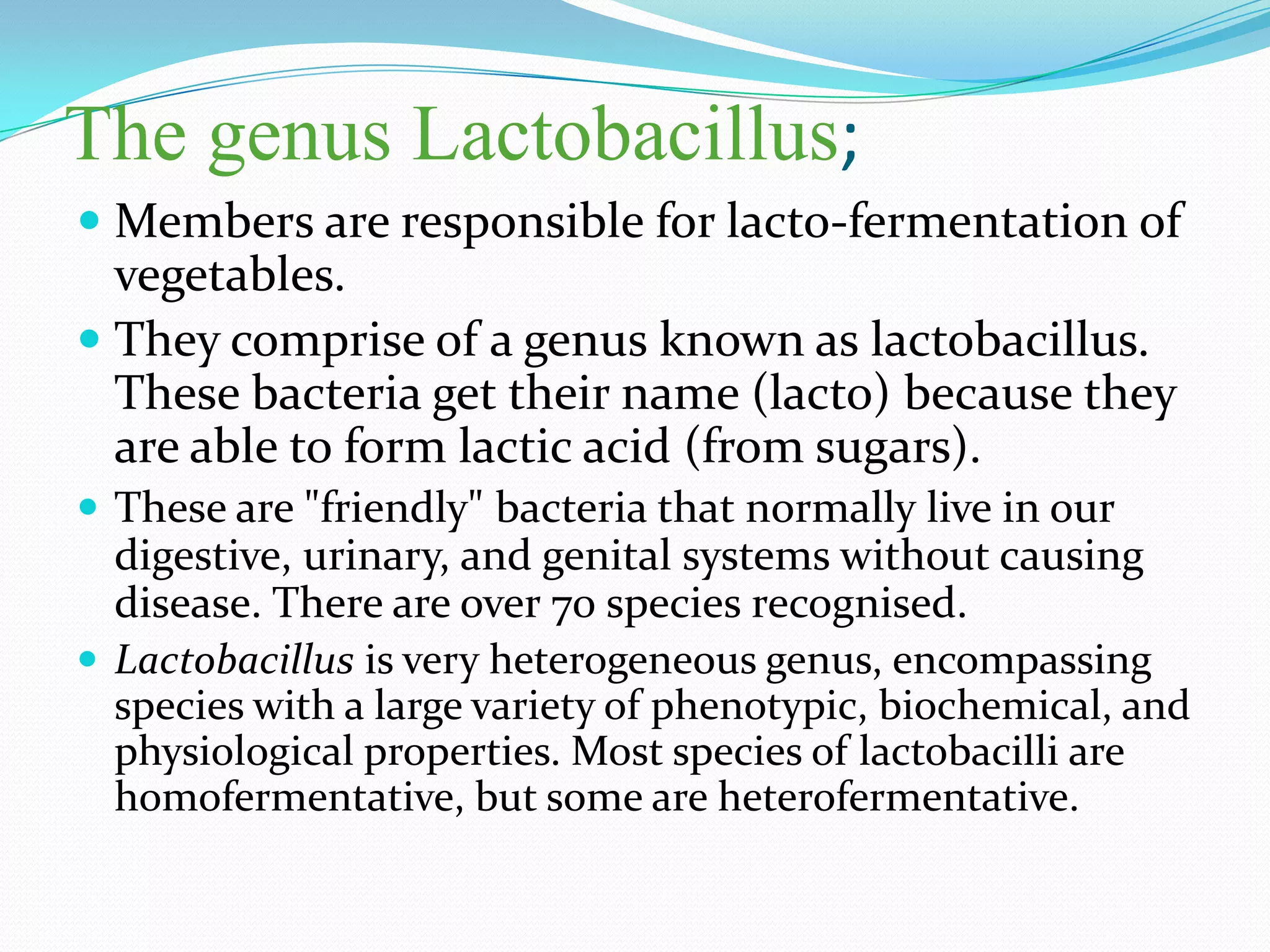Vegetable fermentation | PPT