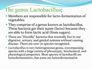 Vegetable fermentation | PPT