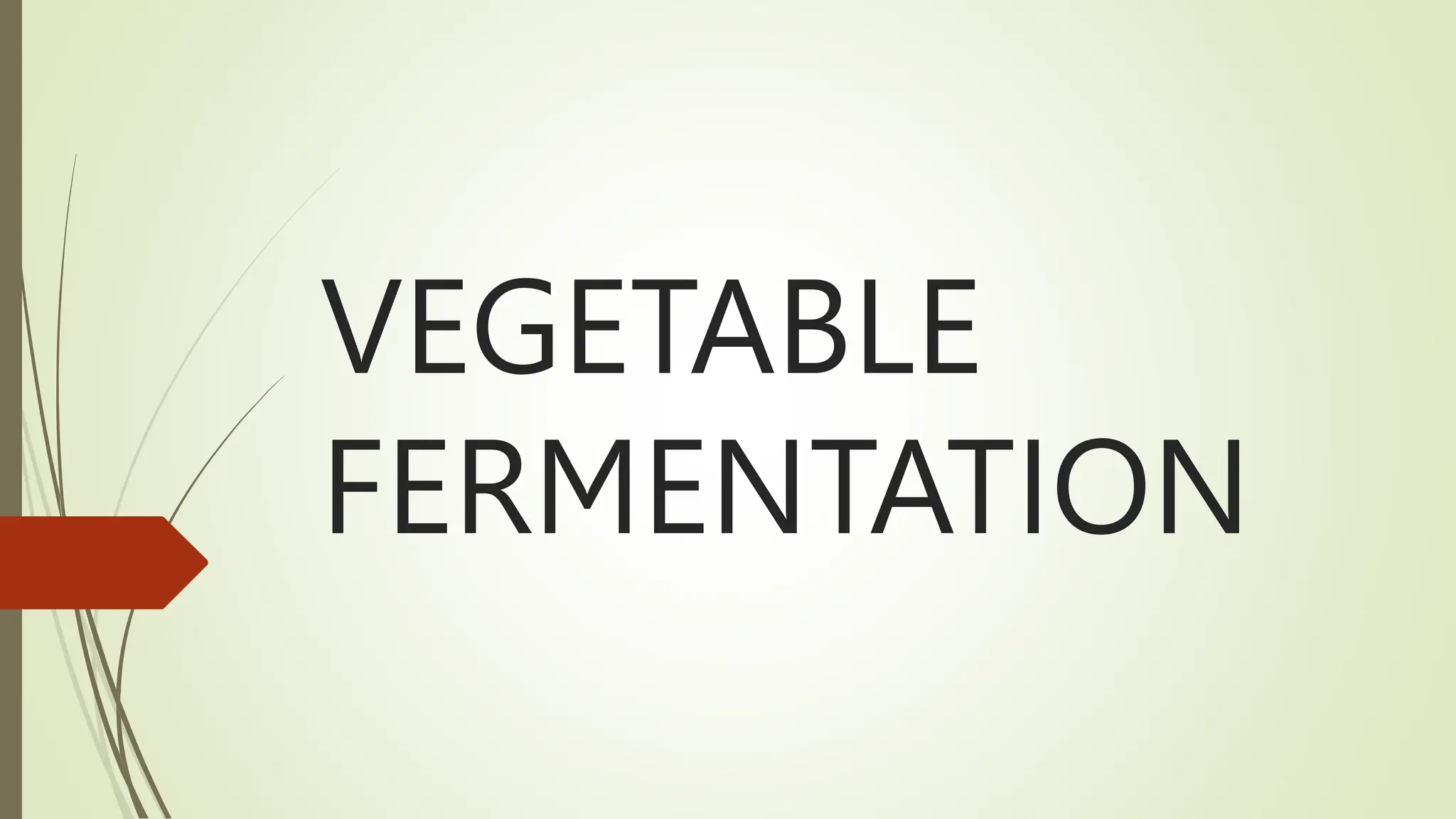 VEGETABLE_FERMENTATION and microorganisms .pptx