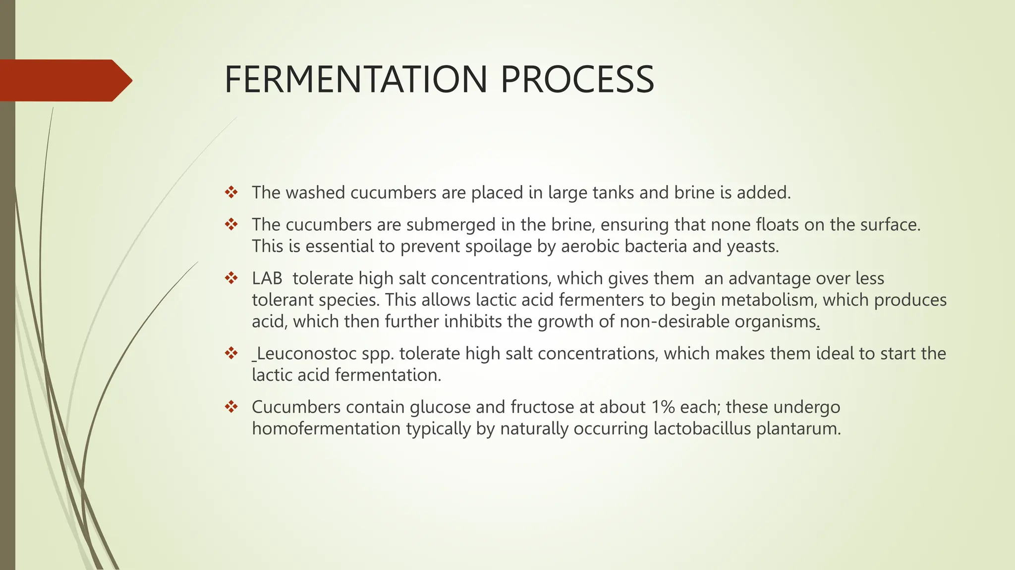 VEGETABLE_FERMENTATION and microorganisms .pptx
