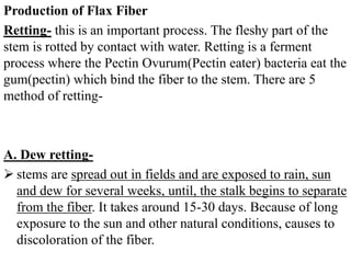 Vegetable fibers | PPTX