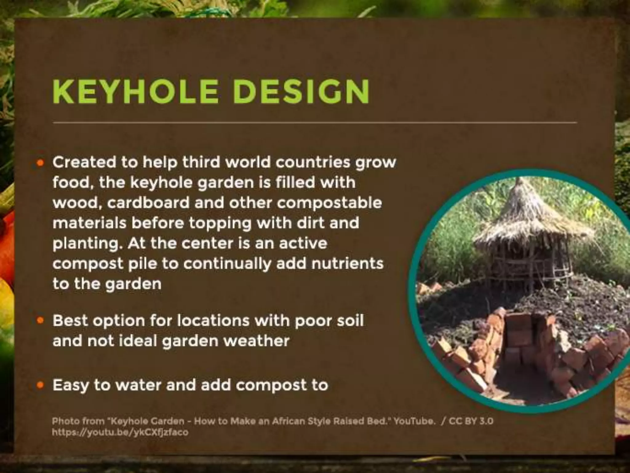 Vegetable Garden Design Ideas | PPTX