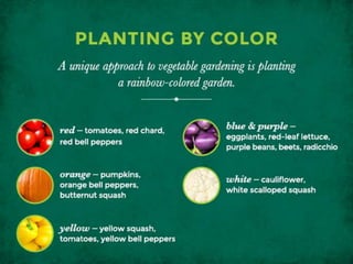 Vegetable Garden Design Ideas | PPTX
