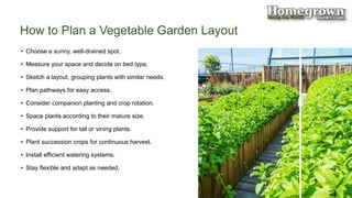 Vegetable Garden Layout for Small Garden.pdf