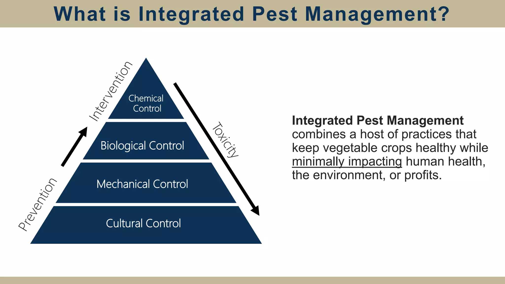 Vegetable IPM | PPTX