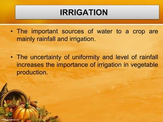 Irrigation & Water Requirements of Vegetable Crops | PPSX