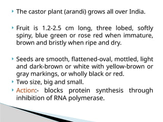Organic Vegetable Irritant plant Poison.pptx