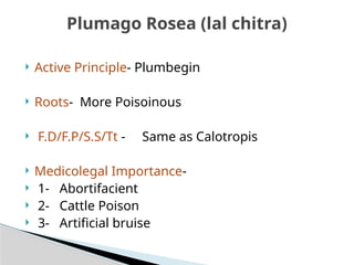 Organic Vegetable Irritant plant Poison.pptx