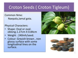 Vegetable irritants poisons | PPTX