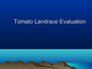 Vegetable Landraces Evaluation in Jordan | PPT