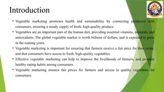 vegetable_marketing_ppt_by_naidu_csm.pptx