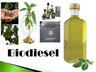 Vegetable oil and biofuel industry [autosaved] [autosaved] [autosaved ...