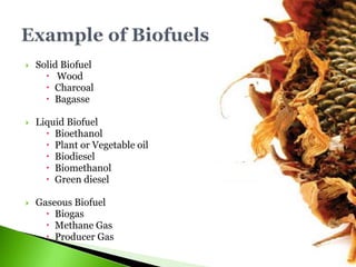Vegetable oil and biofuel industry [autosaved] [autosaved] [autosaved ...