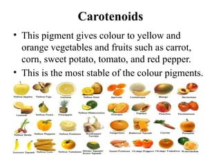 "Exploring Vegetable Pigments & Their Applications" or "Introduction to Python Programming 2024 ...