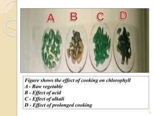 Vegetable pigments | PPTX