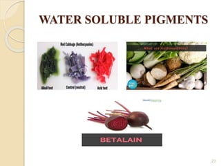 Vegetable pigments | PPTX