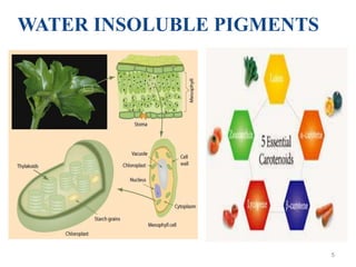 Vegetable pigments | PPTX