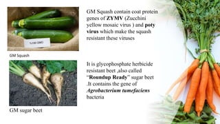 Vegetables | PPTX | Gardening | Home & Garden