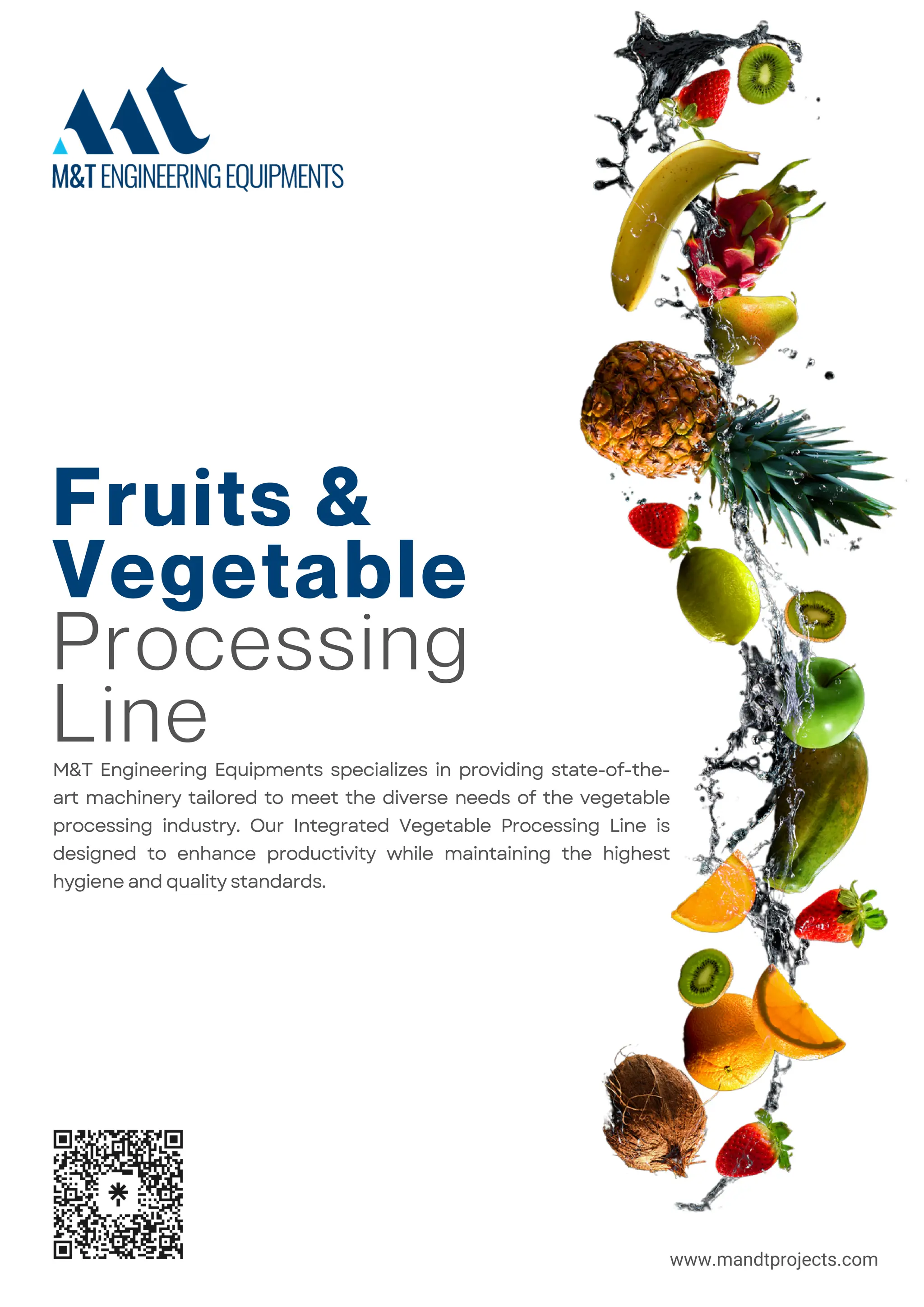 Fruits and Vegetable Processing Line, Mango processing Line, Dehydration, Banana Dehydration | PDF