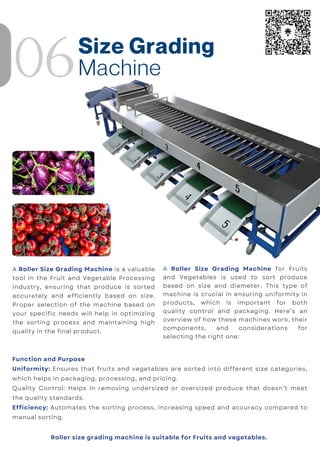 Fruits and Vegetable Processing Line, Mango processing Line ...