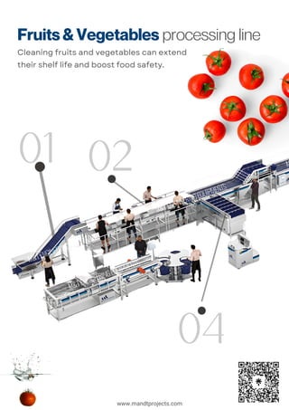 Fruits and Vegetable Processing Line, Mango processing Line, Dehydration, Banana Dehydration | PDF