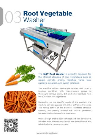 Fruits and Vegetable Processing Line, Mango processing Line, Dehydration, Banana Dehydration | PDF