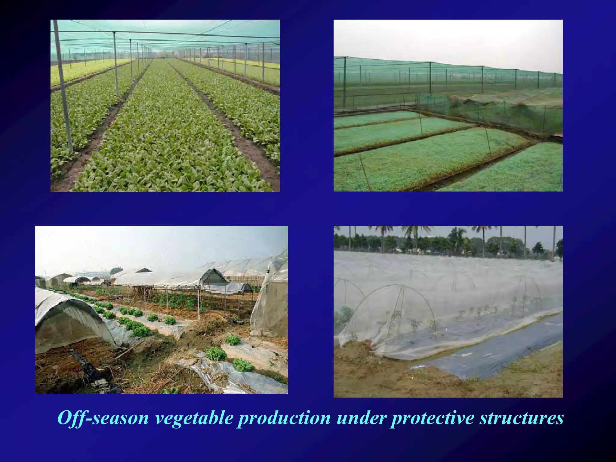Vegetable production under cover | PDF