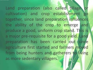 Vegetable production presentation | PPTX