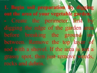 Vegetable production presentation | PPTX