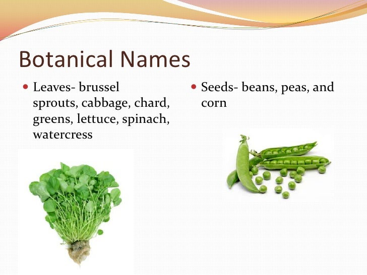 Vegetables