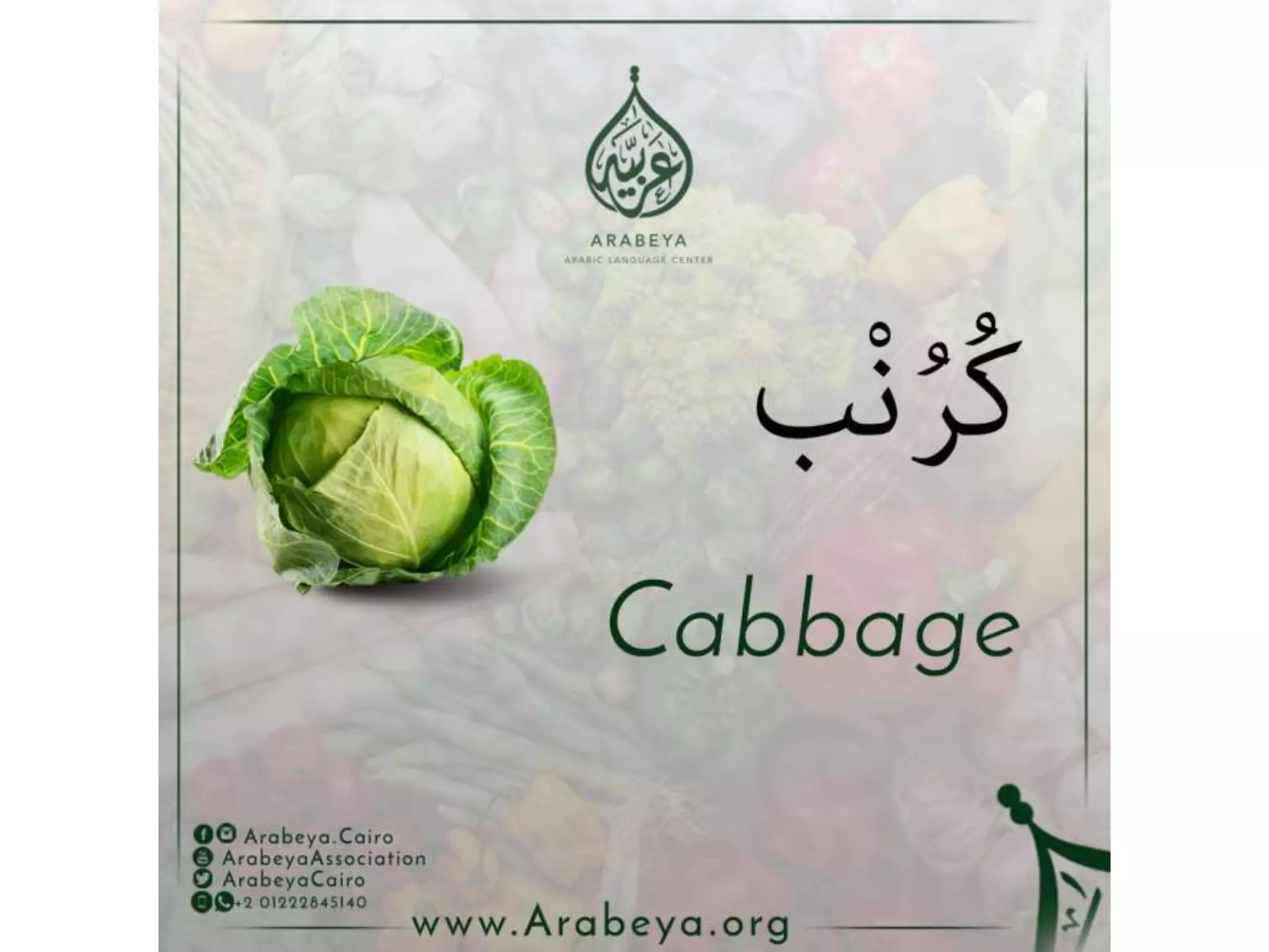 Vegetables names in Arabic language | PPSX