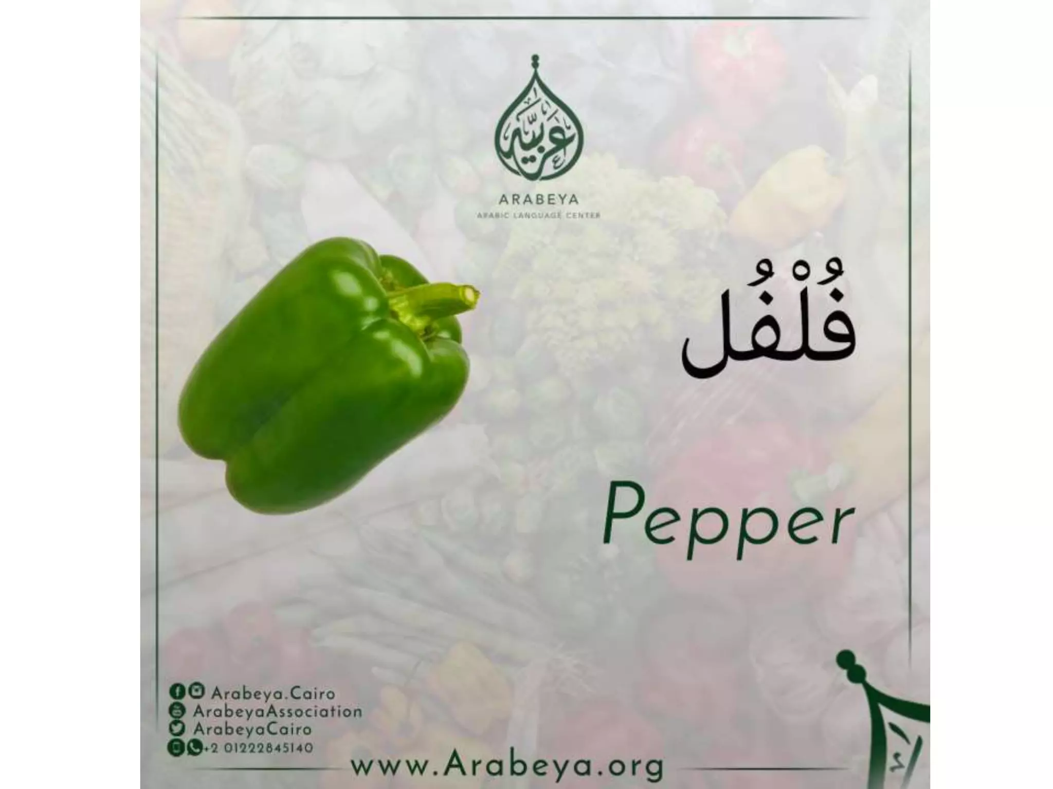 Vegetables names in Arabic language | PPSX