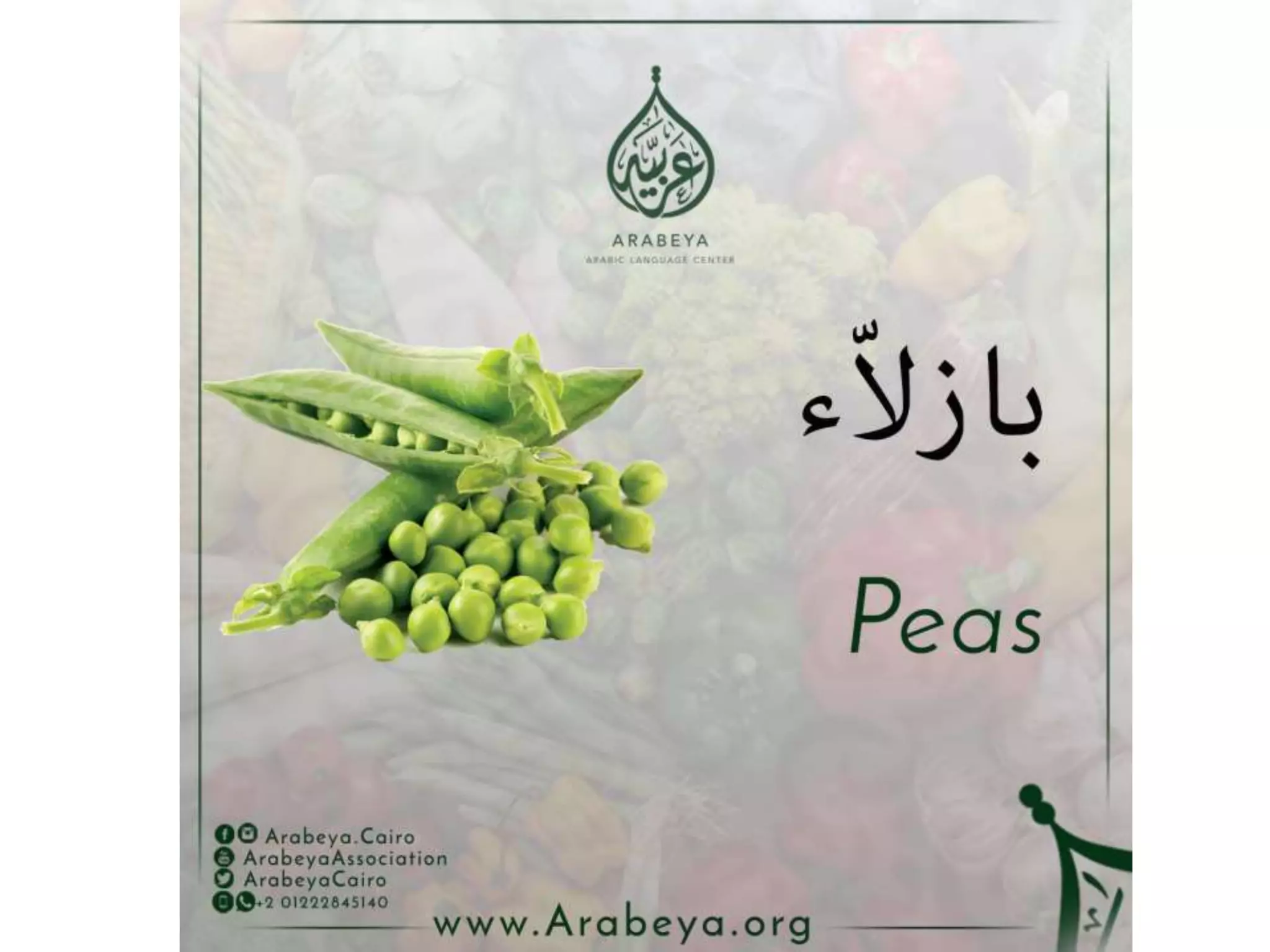 Vegetables names in Arabic language | PPSX
