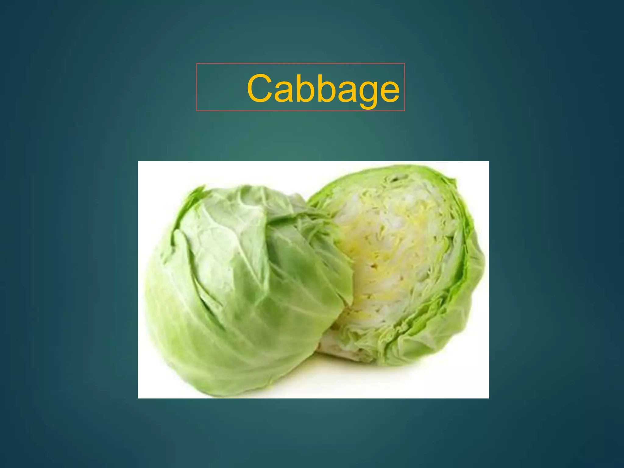 Vegetables | PPT