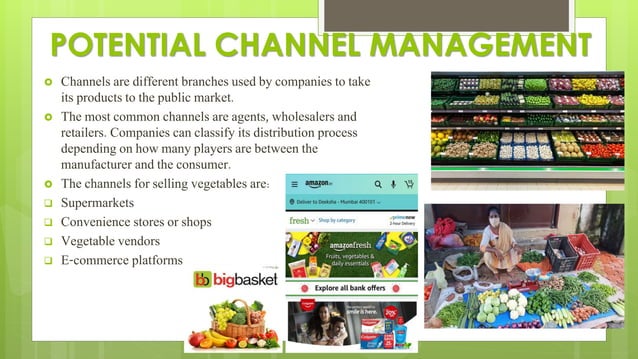 Distribution Channels- Vegetable Seller | PPT