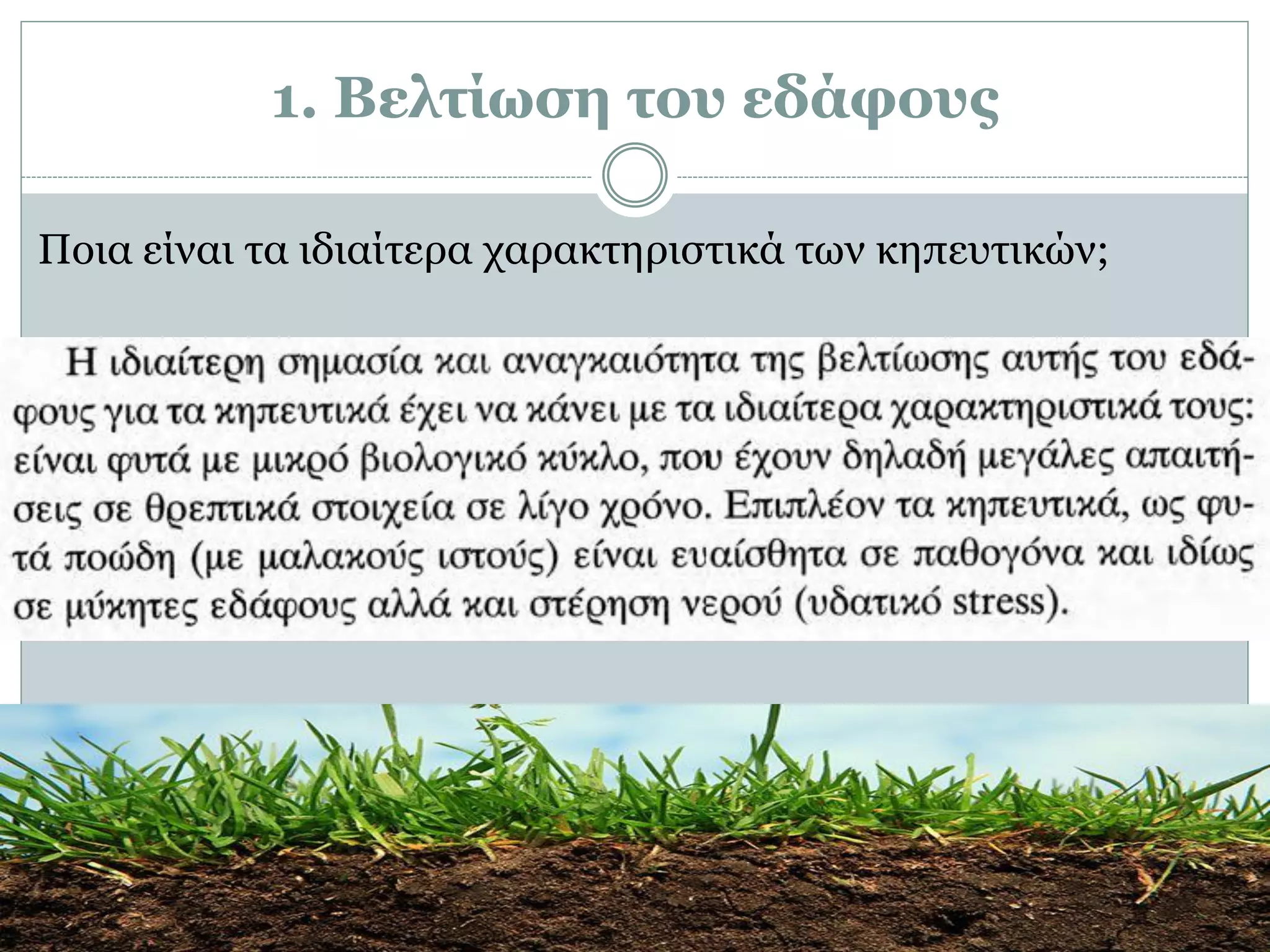 Κεφ. 6ο Κηπευτικά | PDF